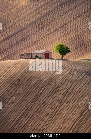 Lone farm house among agricultural fields Stock Photo - Alamy