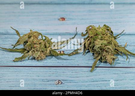 Dry marijuana dark green bloom on blue wooden old table with green ...