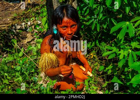 Woman with body painting, Yanomami tribe, southern Venezuela, South ...