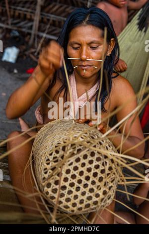 Woman from the Yanomami tribe weaving a basket, southern Venezuela ...