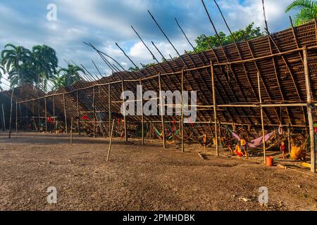 Women of the Yanomami tribe with their children in front of a hut ...
