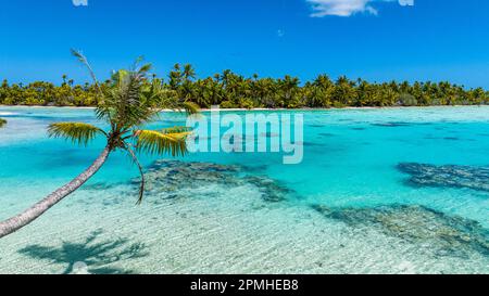 Aerial of the blue lagoon, Fakarava, Tuamotu archipelago, French ...