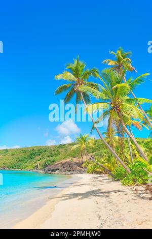 Yasawa Islands, Fiji Stock Photo - Alamy