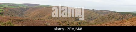 Panoramic photo of the autumn colours at Horner woods in Exmoor ...