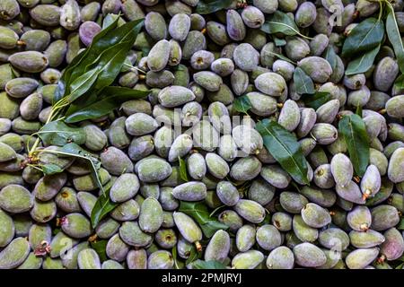 For a short time in March, unripe green almonds are available in the ...