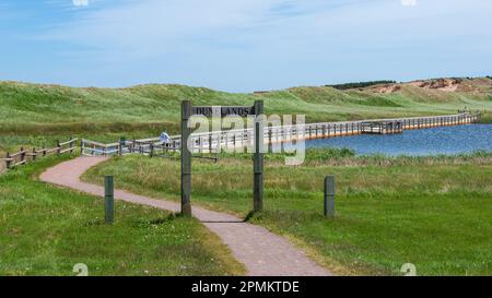 Cavendish Dunelands – a short trail between Cavendish Beach and ...