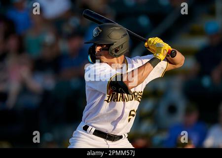 Bradenton Marauders Jesus Castillo (54) at bat during an MiLB Florida ...