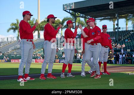 Clearwater Threshers Jordan Viars (33) poses for a photo before an MiLB ...