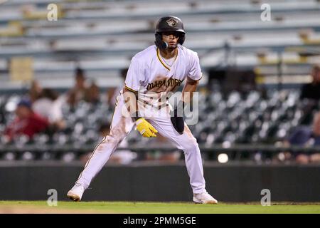 Bradenton Marauders Jesus Castillo (54) at bat during an MiLB Florida ...