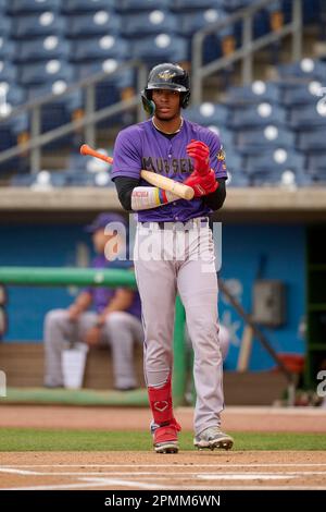 Fort Myers Mighty Mussels Carlos Aguiar (13) bats during an MiLB ...