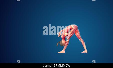 3D human Parsvottanasana Variation with arms in reverse namaskar yoga ...