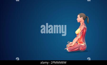 3D human Svastikasana or Auspicious yoga Pose on blue background Stock ...
