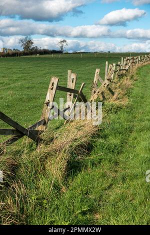 old wooden fence damaged in the wild, Fantanele village area, Sibiu ...