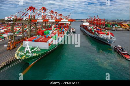 Super Post Panamax Container Ship Loading, Port of Elizabeth, Newark ...