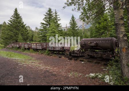 An old train overgrown in a forest Stock Photo - Alamy