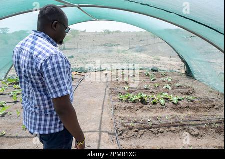 KENYA, Turkana, village Nariokotome, adaption of climate change ...