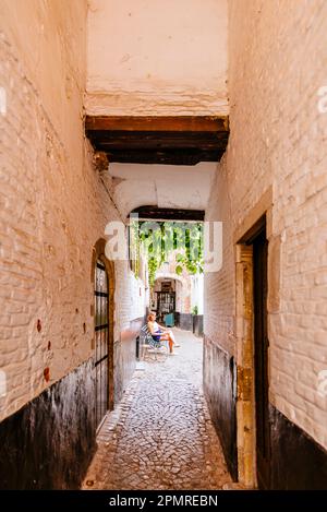 Vlaeykensgang, a small medieval alley in the city centre. Antwerp ...
