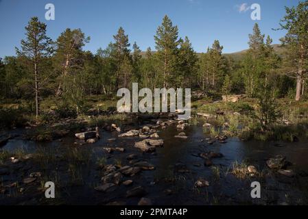 Hulderstigen is an easy trail crossing Sjoa river towards Stuttgonglia ...