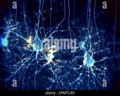 Pyramidal neurons of human brain cortex, computer illustration Stock ...