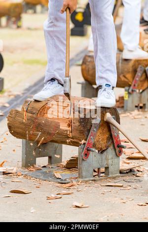 Woodchop Competition at the Sydney Royal Easter Show Stock Photo - Alamy