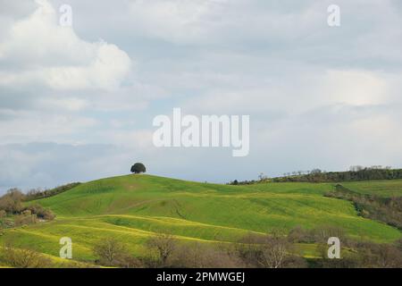 Tuscany, Italy, landscape from Vergelle, Montalcino, Italy Stock Photo ...