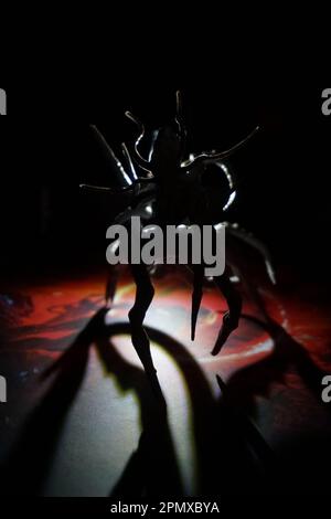 Alien miniatures from the board game: Nemesis, and it's expansions ...