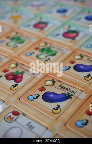 Pieces and cardboard tokens from Stardew Valley the board game Stock ...