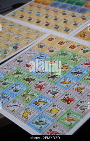 Pieces and cardboard tokens from Stardew Valley the board game Stock ...