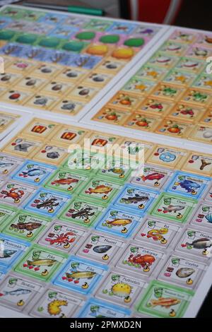 Pieces and cardboard tokens from Stardew Valley the board game Stock ...