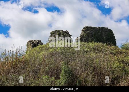 Plympton Castle in Pympton St Maurice, Plymouth, Devon Monochrome Stock ...