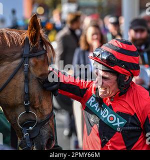 Midnight River ridden by Harry Skelton goes on to win The Paddy Power ...