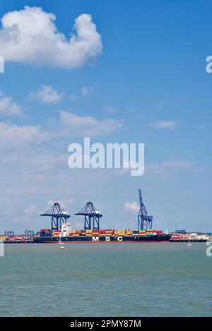 Container ship MSC Nerissa berthed at the Port of Felixstowe, Suffolk ...