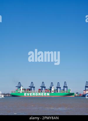 Evergreen Ever Act container ship and gantry cranes on quayside, Port ...