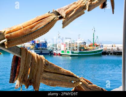 Snoek fish hanging in the sun to dry, a delicacy in South Africa, with ...