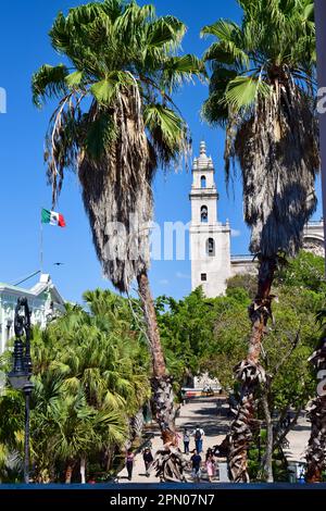 Architecture of the historic part of Mexico City, DF, the capital and ...