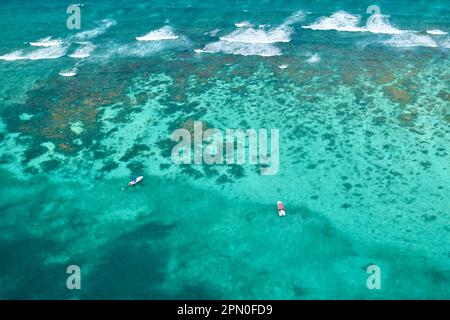 The Mesoamerican Barrier Reef System, as seen from a plane, in Belize ...
