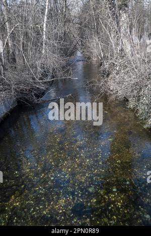 coins thrown in the Wurm Canal between the crematorian and prisoner ...