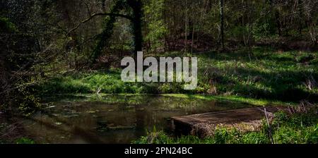 The Knapp and Papermill, Leigh Brook, Worcestershire, UK Stock Photo ...