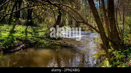 The Knapp and Papermill, Leigh Brook, Worcestershire, UK Stock Photo ...