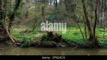 The Knapp and Papermill, Leigh Brook, Worcestershire, UK Stock Photo ...