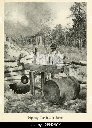 Psoriasis on the skin of the back in a 24-year-old female patient ...