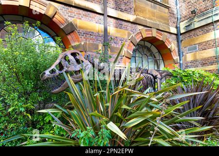 Sculpture of a T-rex 'Clare' by Ian Curran outside The Sedgwick Museum ...