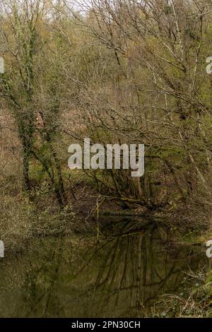 Mushet Memorial, Dark Hill Iron Works. A memorial to Robert Mushet and ...
