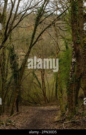 Mushet Memorial, Dark Hill Iron Works. A memorial to Robert Mushet and ...