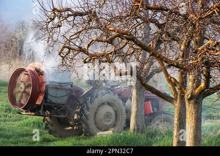 Tractor with atomizer sprayer spraying pesticides on apple trees in the ...
