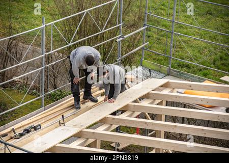 Two young carpenters building a carport. Apprentice learns from trainer ...