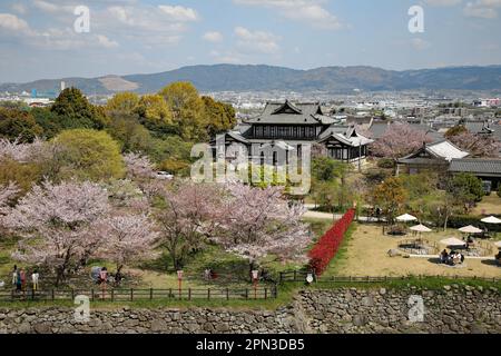 Koriyama Castle Ruins, Japan Stock Photo - Alamy