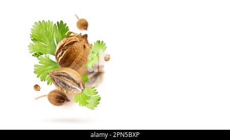 Fresh cilantro leaves falling on beige background Stock Photo - Alamy