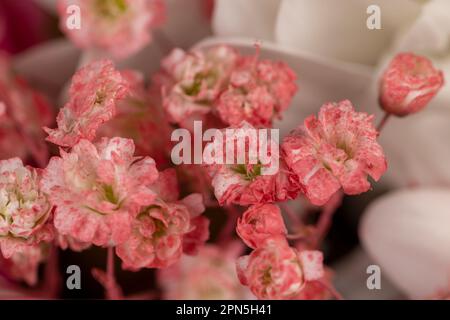 using different types of flowers to create a small bouquet for a ...