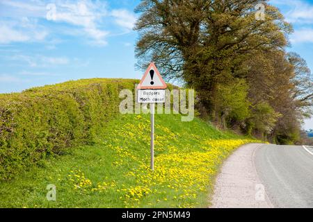 European badger (Meles meles) warning sign / street sign in England, UK ...